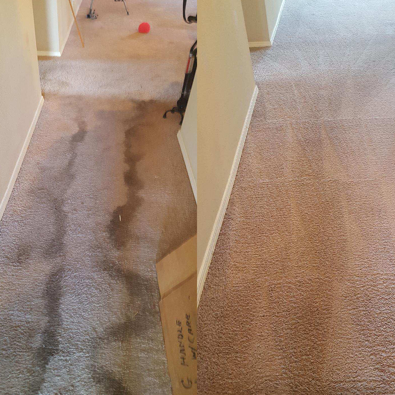 KleenGreen Carpet Cleaning | Professional Carpet Cleaning in Your Local ...